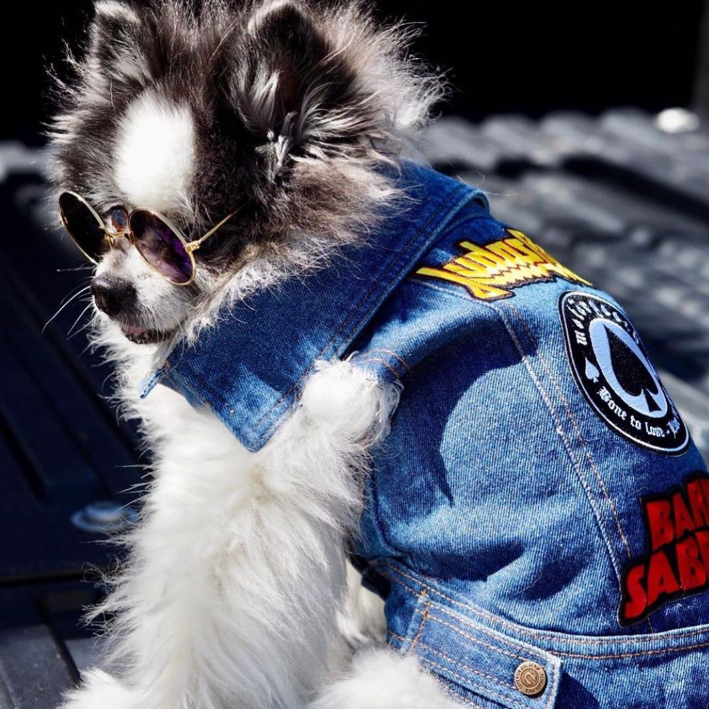 Pack Member Denim Dog Jacket - PetHaus