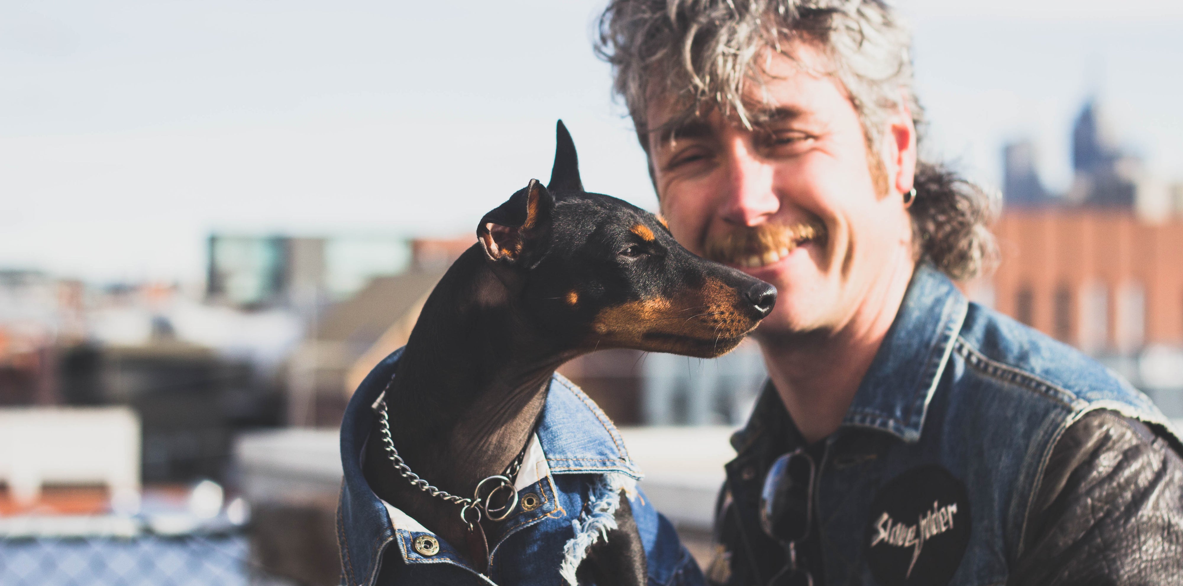 Pack Member Patch - PetHaus