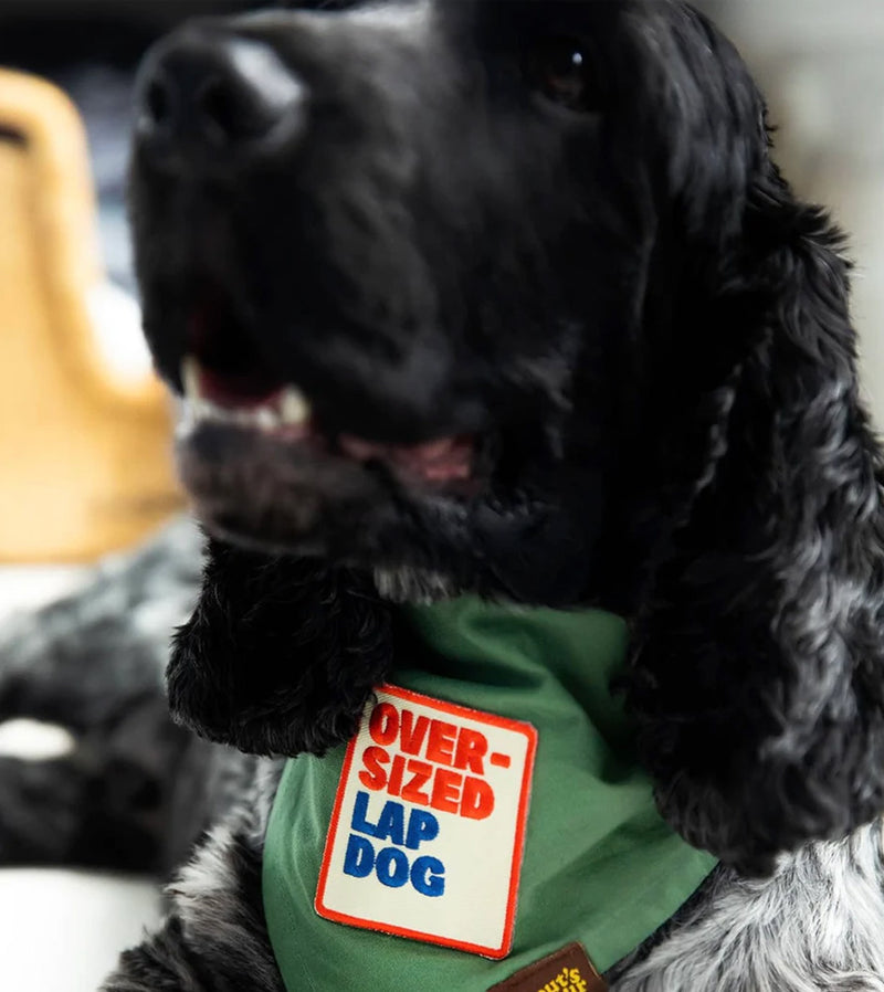 Scouts Honour Patch, Over sized lap dog patch, Patch for dog - PetHaus