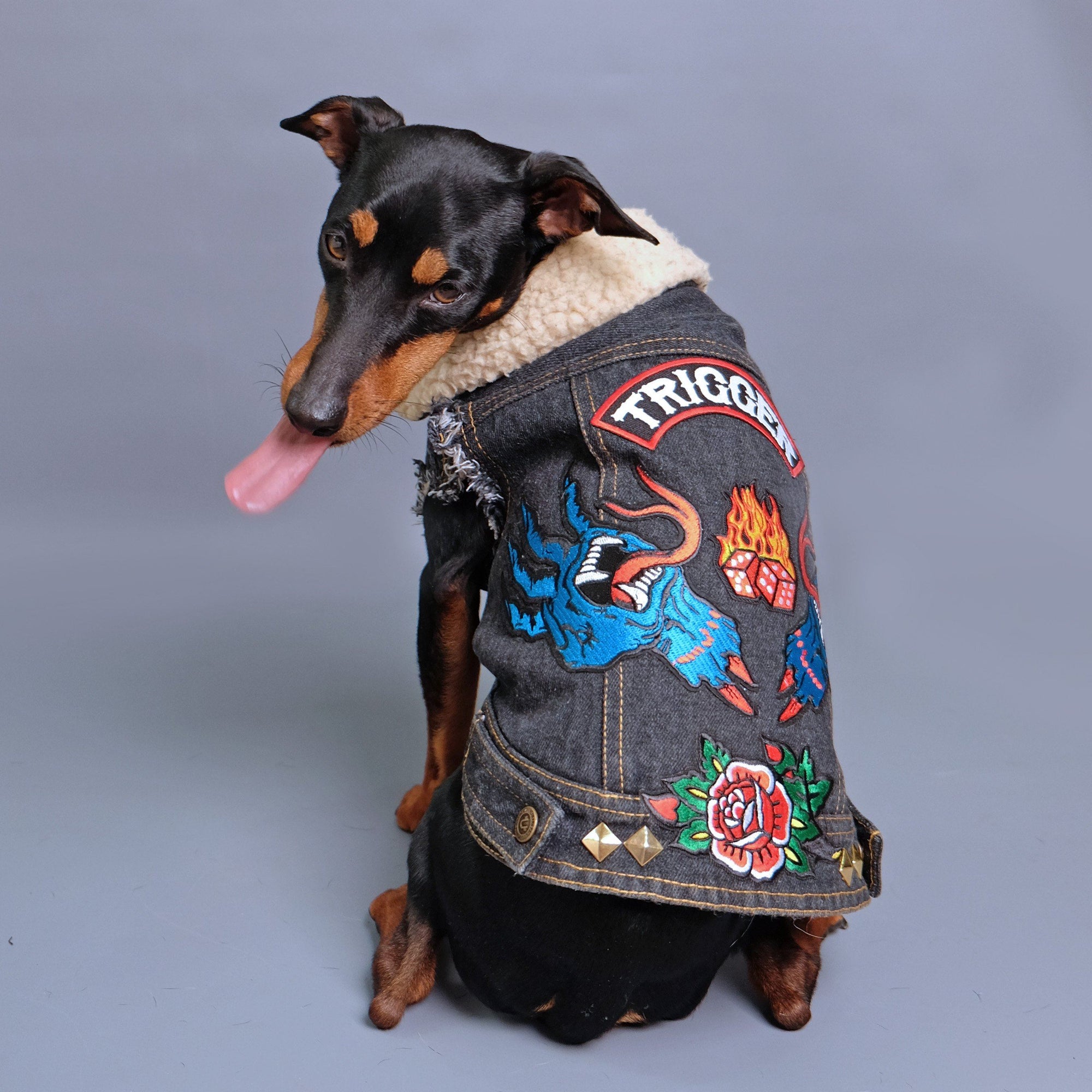 Custom Patched Dog Battle Jacket- Denim Dog Vest - PetHaus