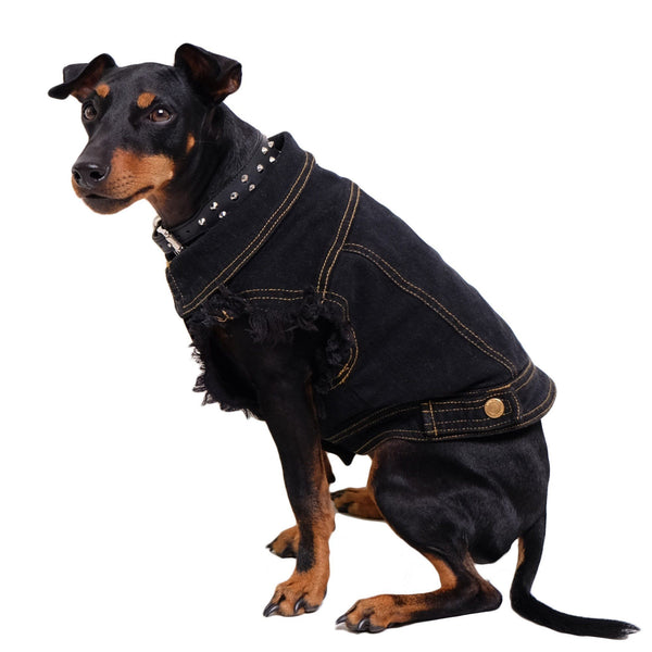 Denim Dog Vest Black - Unpatched - PetHaus