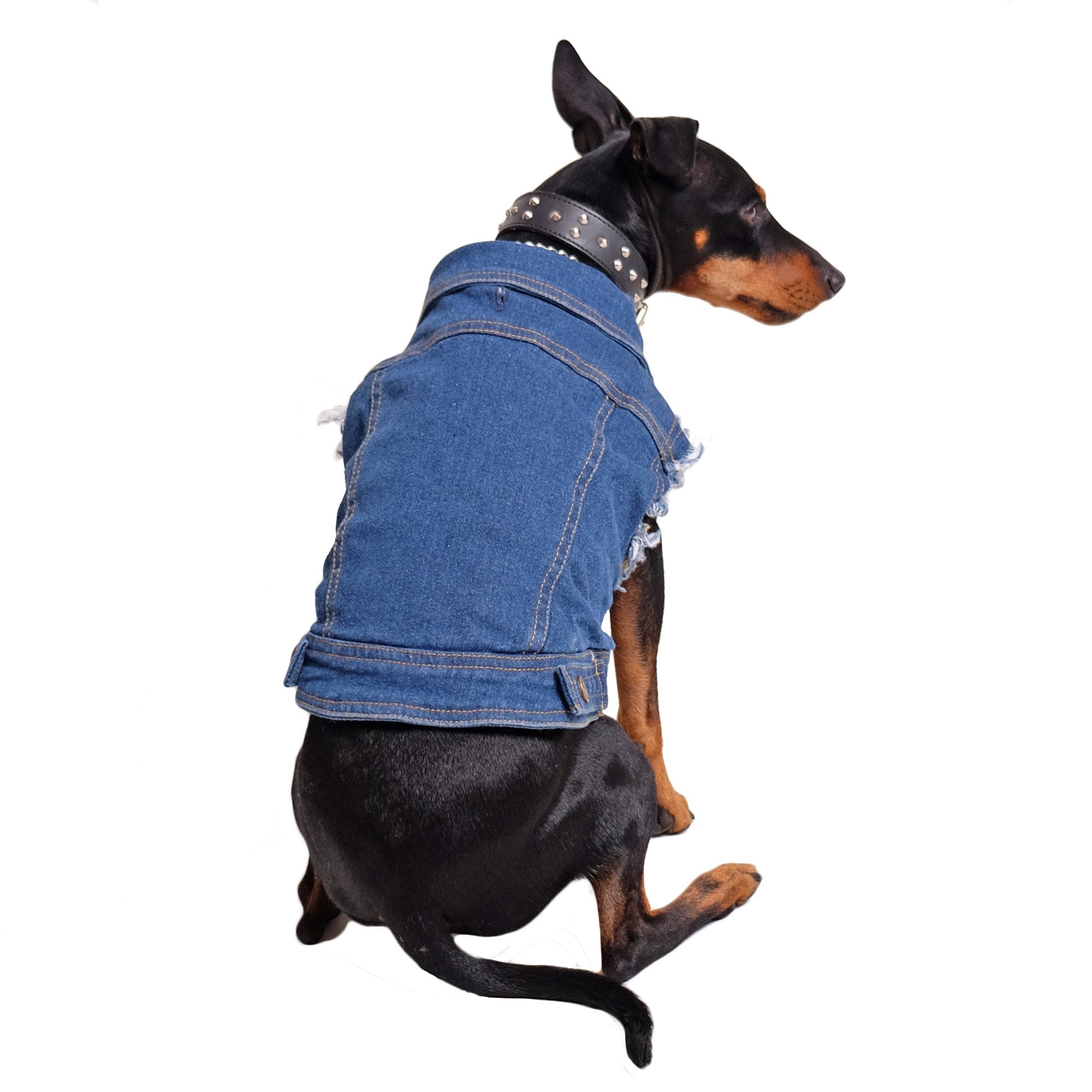 Denim Dog Coat Australian design by Pethaus - Dog Coat - Dog Jacket ...