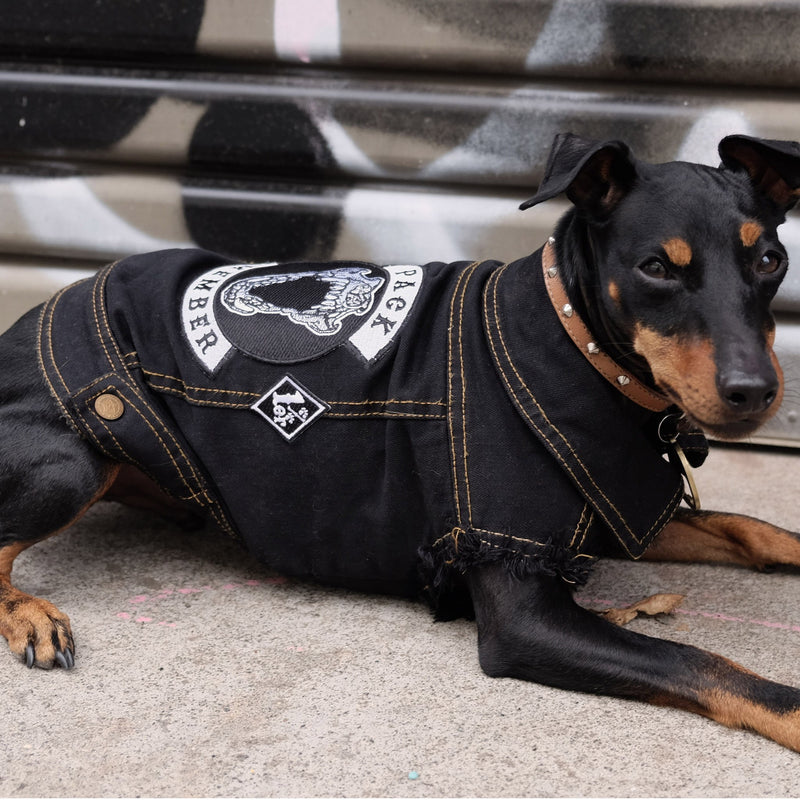 Pack Member Denim Dog Jacket - PetHaus